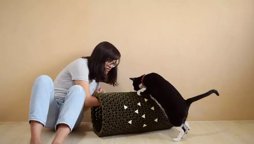 Perabot Kucing Moden Peek A Boo Boleh Anda Nikmati Juga 11279_1