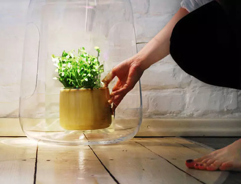 I-Milo Lamp yi-Lightovo Miniature Greenhouse - i-Design Milk