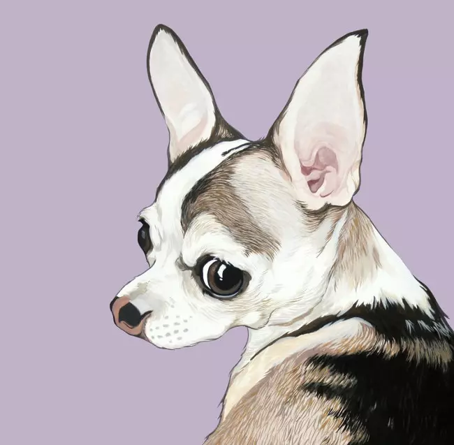 Retratos personalizados de mascotas por Manda Wolfe