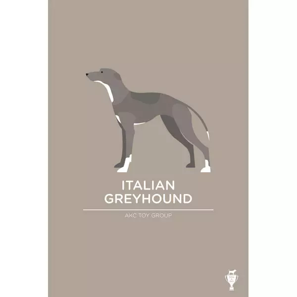 Taljan-greyhound-art-print