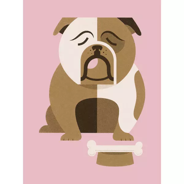 bulldog-roża-art-print