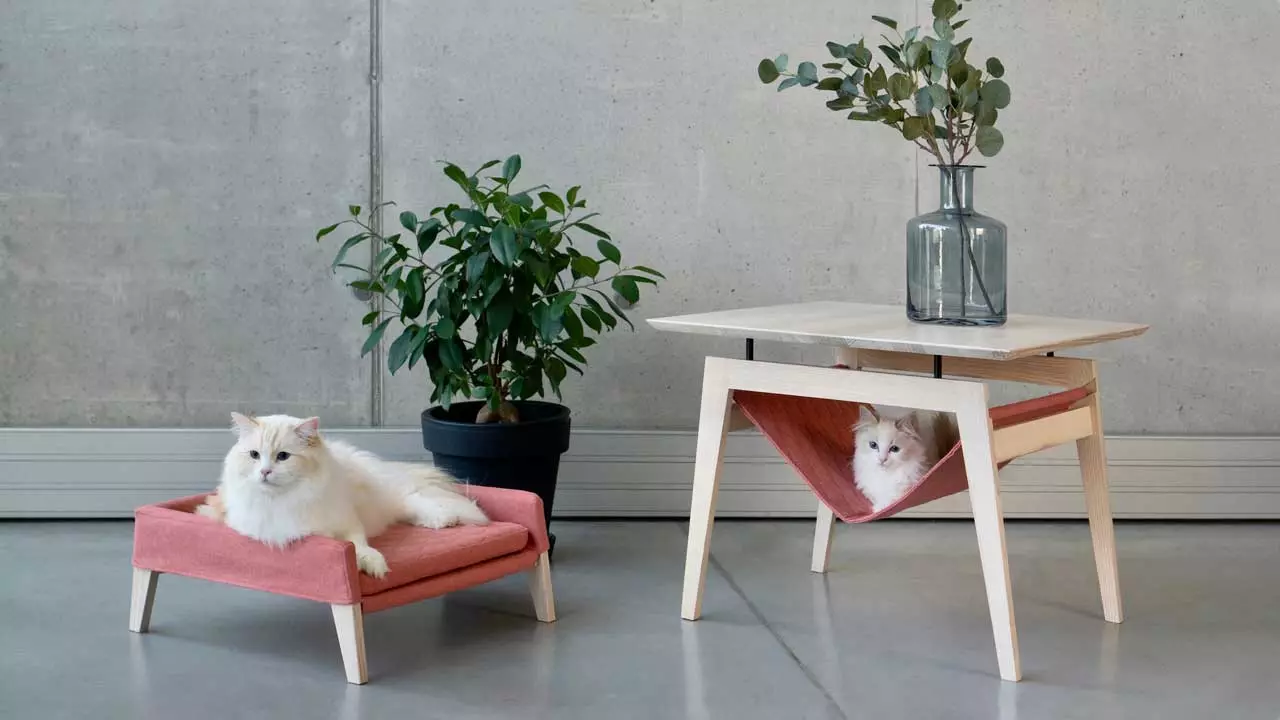 Kikko + Lulu: Comfy Cat Furniture Lati Labbvenn