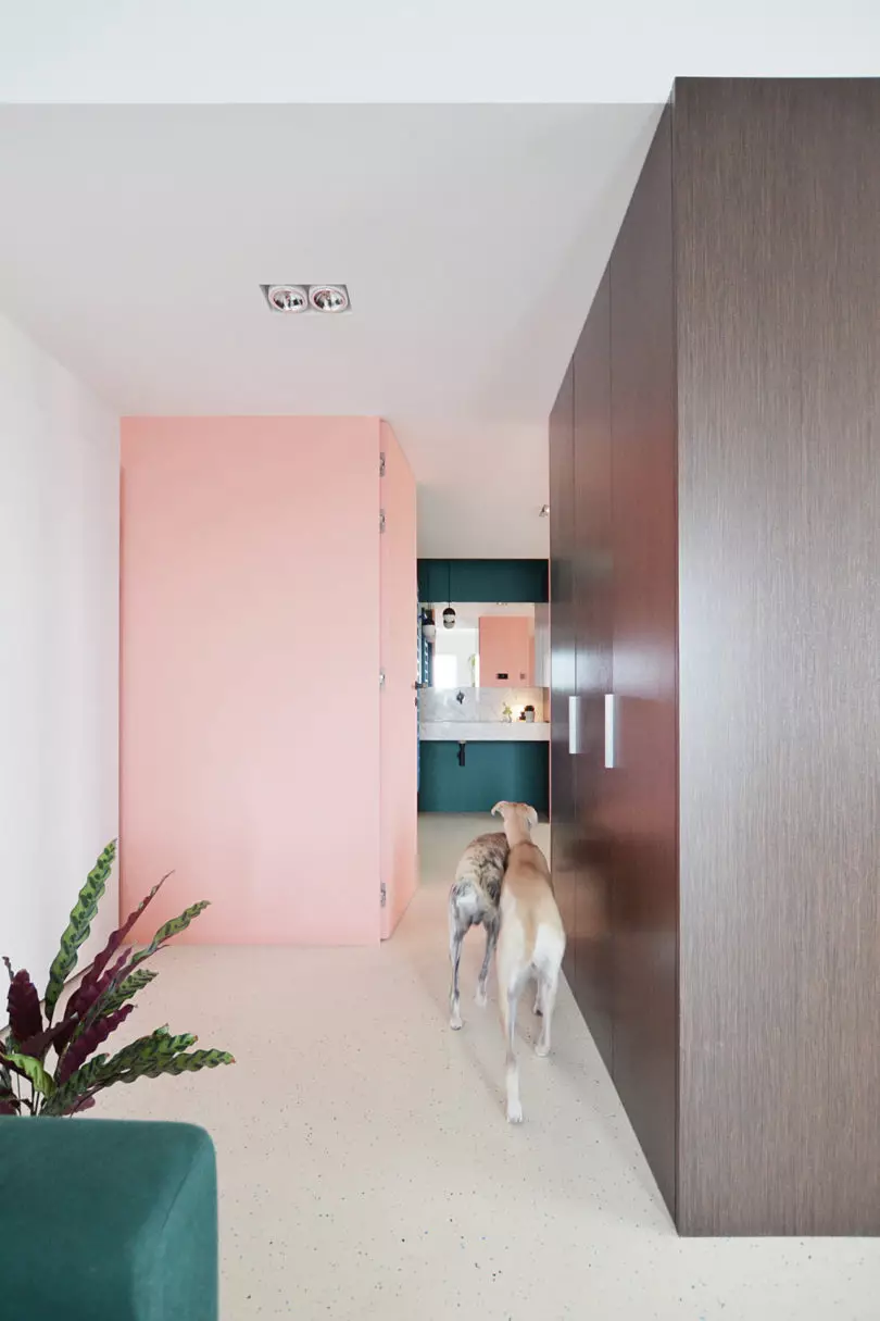 Rumah Flat Whippets untuk Pasangan Muda di Katowice, Polandia 5620_6