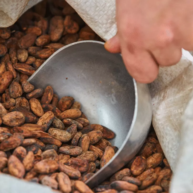 Bean to Bar - Ezagutu Londreseko jatorri bakarreko txokolatearen aitzindaria 6101_2