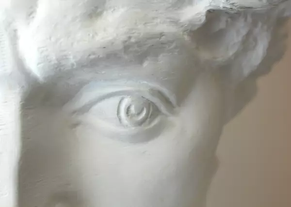 Bust of David, 2012 (lintlha)