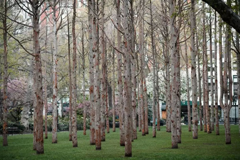 Ghost Forest vum Maya Lin