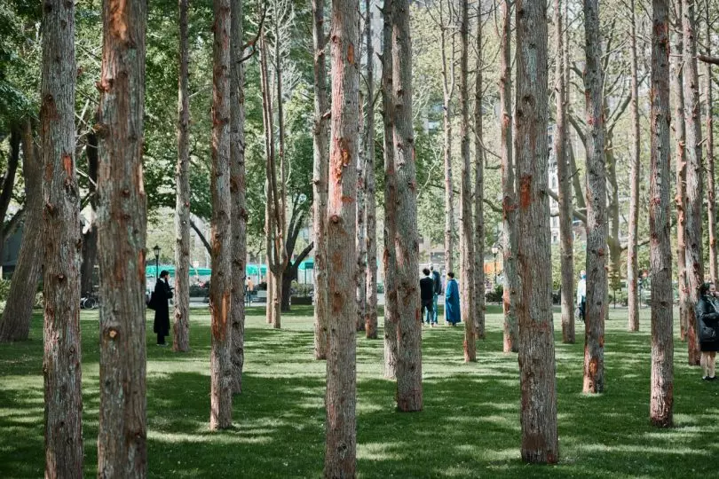 Visiteuren bannent Ghost Forest