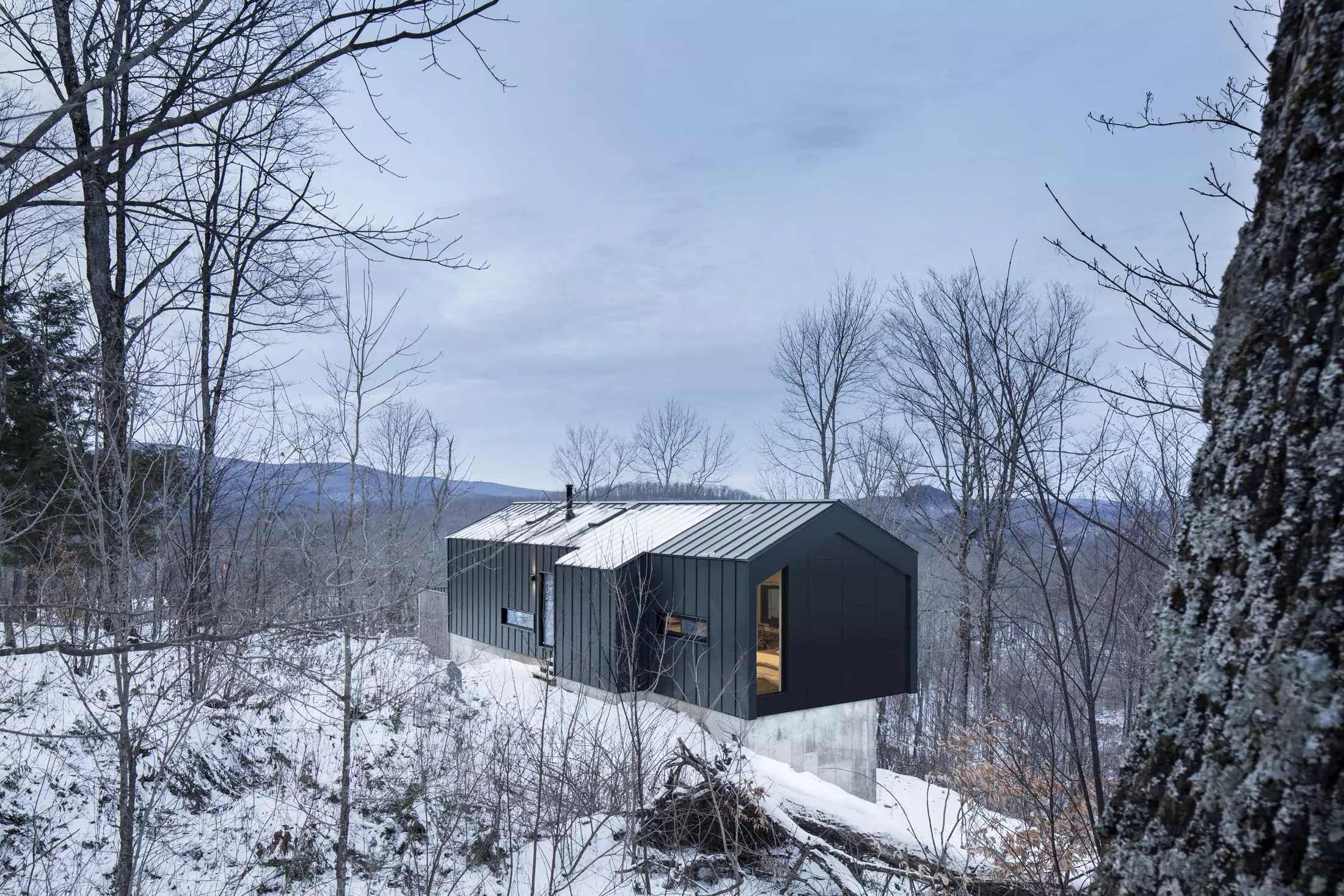 Bolton Residence από την Naturehumaine