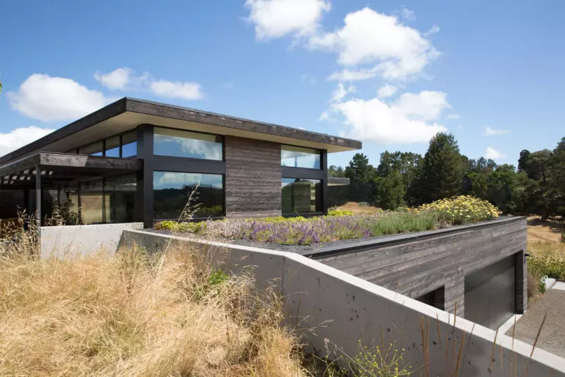 Feldman Architecture dissenya The Meadow Home on a Prairie